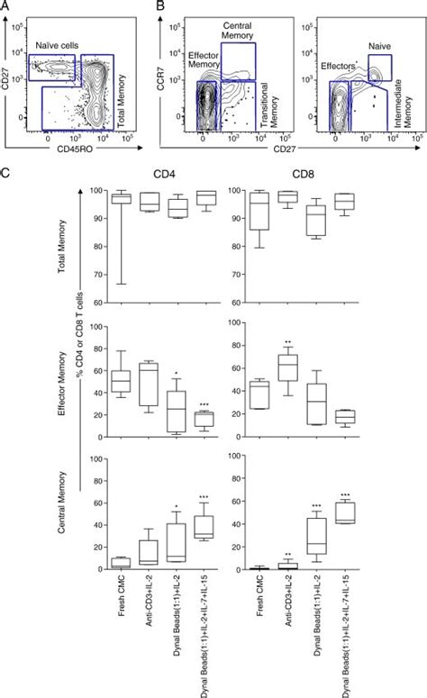 Impact Of Polyclonal Expansion On T Cell Memory Phenotype At The