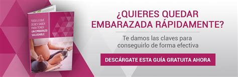 Alimentos Que Debes Evitar Durante El Embarazo La Ventana Virtual