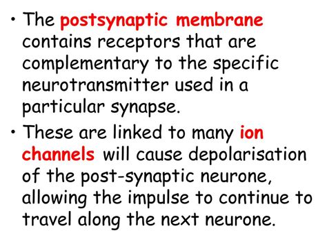 Nervous System Ppt Download