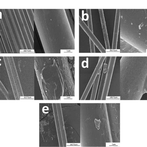 Scanning Electron Microscopy Photographs Of Outer Surface Of The Basalt