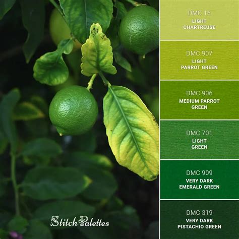 Light Green Color Code Artofit