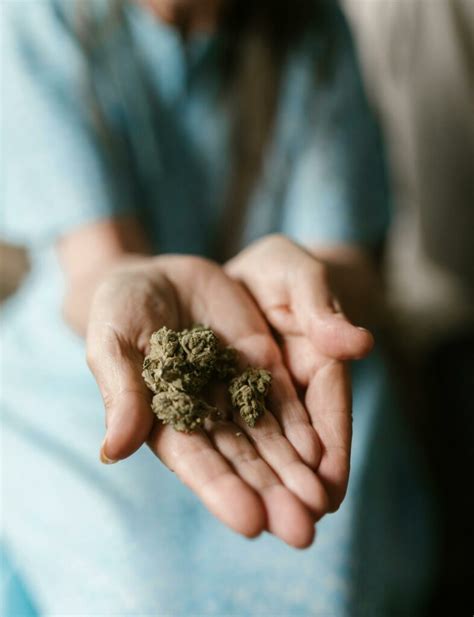 Supporting Gut Health With Medical Cannabis The Gut Brain Axis And Ibs