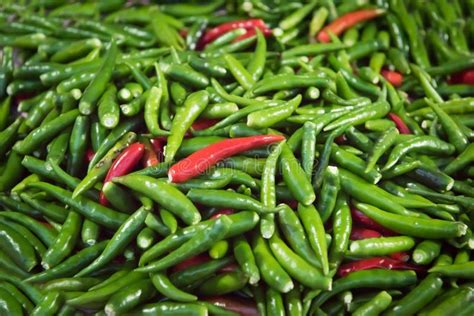 Chiles Del Ojo Del ` S Del Pájaro Que Crecen En La Planta Foto De