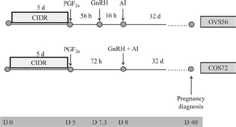 Diagram Of Activities In Experiment 2 Cidr Controlled Internal Download Scientific Diagram