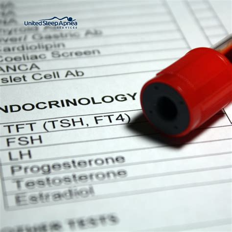 Progesterone The Magical Female Sex Hormone