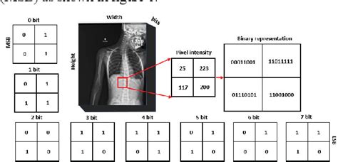Figure 1 From Exploring The Efficacy Of Partial Denoising Using Bit