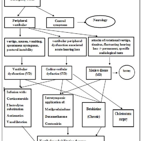 Algorithm For The Diagnosis And Treatment Of The Vestibular Disorders