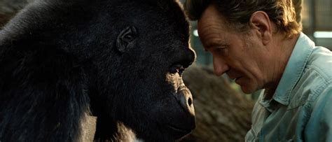 Der Einzig Wahre Ivan Film 2020 Trailer Kritik KINO De