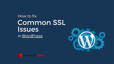 Fix WordPress Issues Expert Tips To Resolve Common Problems Digital