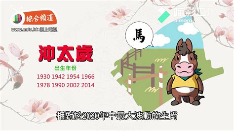 2020年犯太岁生肖 Youtube