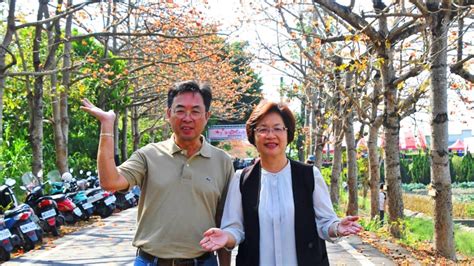 彰化二林木棉花季湧人潮 東螺溪木棉花道健走趣