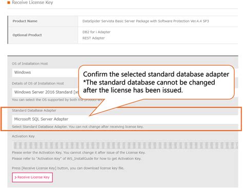 About The Standard Database Adapter For Dataspider Servista Basic Server Package