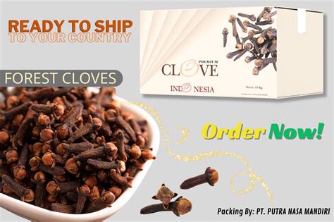 Buy Clove From Pt Putra Nasa Mandiri Indonesia