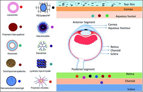 Schematic Representation Of Different Nanocarrier Systems And Their Download Scientific Diagram