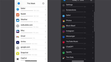 Ios 185 Update Triggers Inaccurate App Usage Reports The Mac Observer