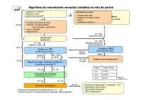 Algoritmo RCP Neonatal Docsity