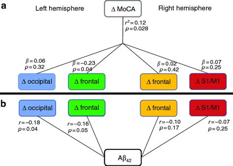 Relation To Markers Of Cognitive Decline A Linear Regression Model