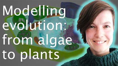 Plant Evolution Timeline The Correct Sequence Finally Revealed