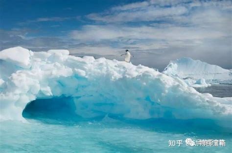 为何南极被称为人类的禁区？南极有未知巨型生物吗？ 知乎