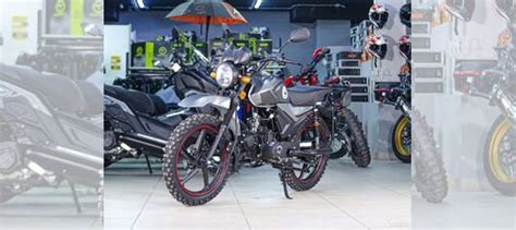 Мопед альфа 125 (49) rockot alpha offroad M-12 сер купить в Кыштыме ...