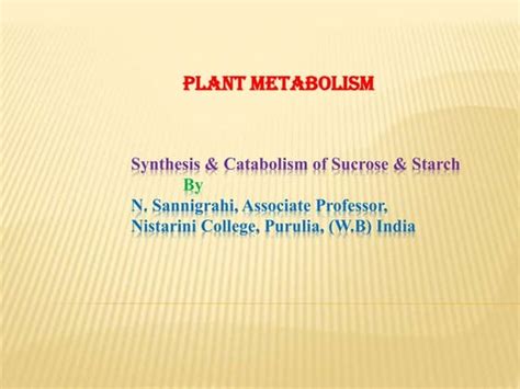 Biosynthesis Of Sucrose And Starch Pdf Chemistry Science