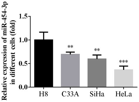 MicroRNA 454 3p Inhibits Cervical Cancer Cell Invasion And Migration By