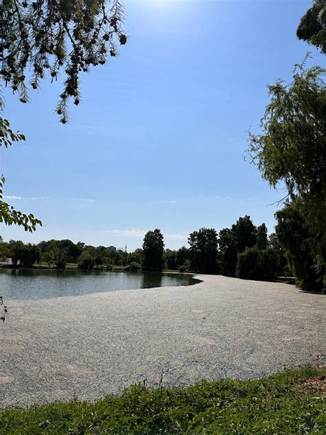 B FOTO O imagine dizgrațioasă din București Apa de la marginea lacului din Parcul