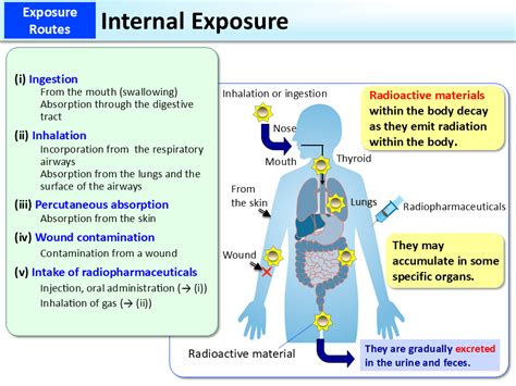 Iodine Absorption Through Skin Caption Simple