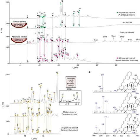 Partial Gas Chromatograms Of Organic Residue Extracts From Bowls