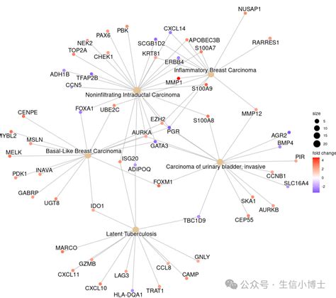 美化clusterProfiler富集分析结果enrichplot包中的cnetplot 腾讯云开发者社区 腾讯云