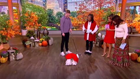 The Views Alyssa Farah Griffin Covers Up Stomach With Oversized Coat