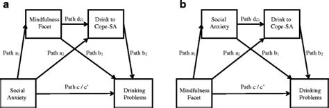 Hypothesized Serial Multiple Mediation Model With Social Anxiety As The