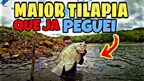 Maior Tilapia Que Ja Peguei Tiro R Pido Youtube