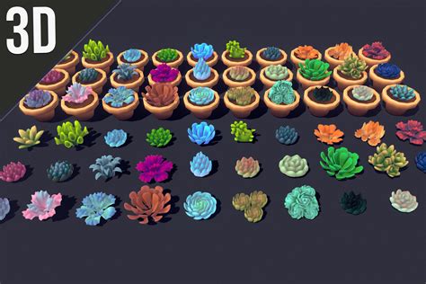 Stylize Succulent Plant Pack 3d Plants Unity Asset Store