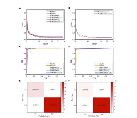 Comparative Experiment Results Of Six Models A Loss Curves Of