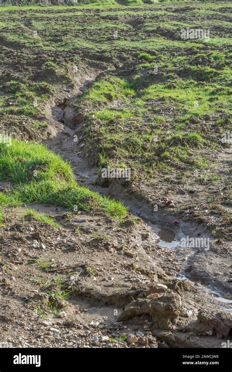 Rill Erosion