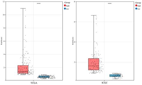A Novel Ferroptosis Related Gene Prognosis Signature And Identifying