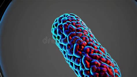 Ai 3d Mold Spore Structure Showing Bio Growth Stock Video Video Of