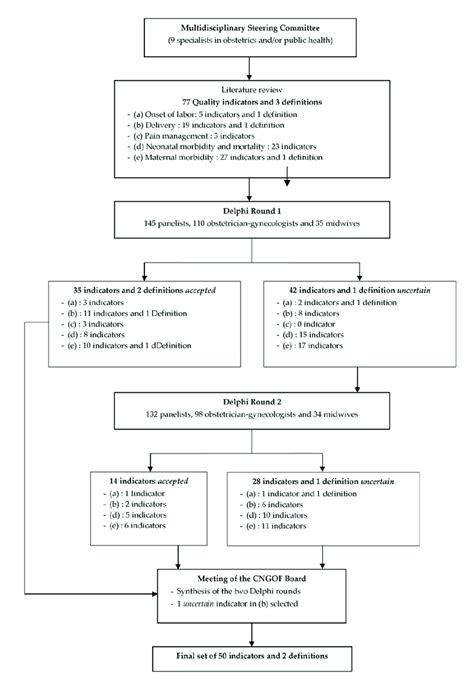 the modified delphi process for the selection of indicators of quality