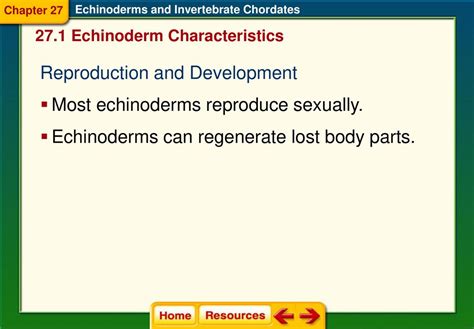 Chapter 27 Echinoderms And Invertebrate Chordates Ppt Download