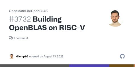 Building Openblas On Risc V Issue Openmathlib Openblas Github