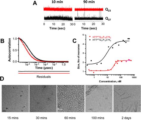 Self Assembly In Pbs Of Chemically Synthesized Htt Exon1 Analogs A Download Scientific