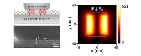 Quantifying The Ultimate Limit Of Plasmonic Near Field Enhancement Research Communities By