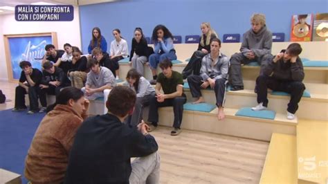 Anticipazioni Amici Nuovi Allievi Rischiano Di Lasciare Lo Show Ecco I Nomi