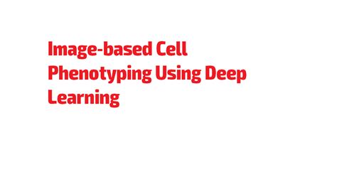 Image Based Cell Phenotyping Using Deep Learning