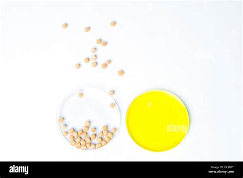 Soybean Genetically Modified Plant Cell Science Stock Photo Alamy