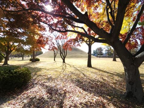 경주 가볼만한곳 비단벌레차 예약 첨성대 경주 대릉원 이용방법 무료주차장 가는 법 [가을여행] 네이버 블로그