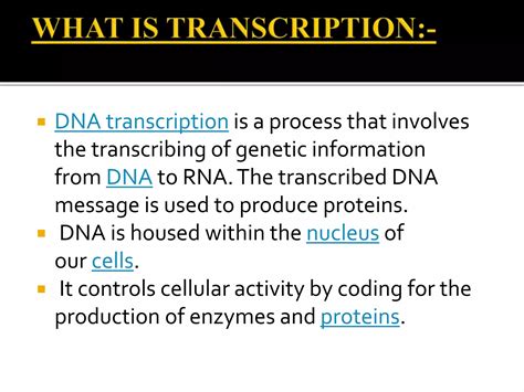 Prokaryotic Transcription By Kk Ppt
