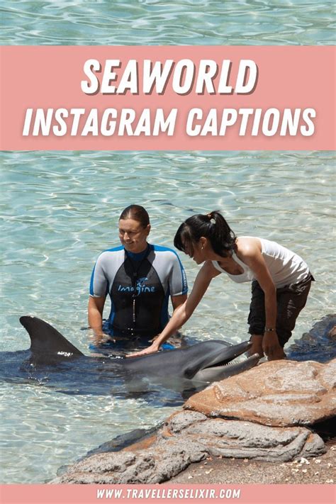43 Seaworld Captions For Instagram Puns Quotes And Short Captions
