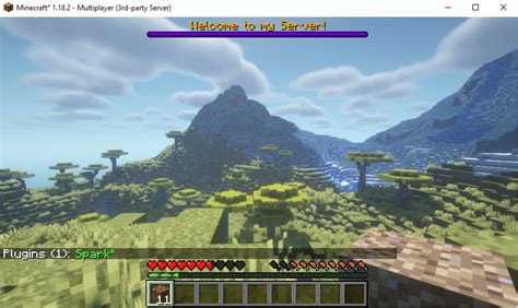 How To Use Minecraft Papermc Vps Server Knowledgebase Vps Server Host